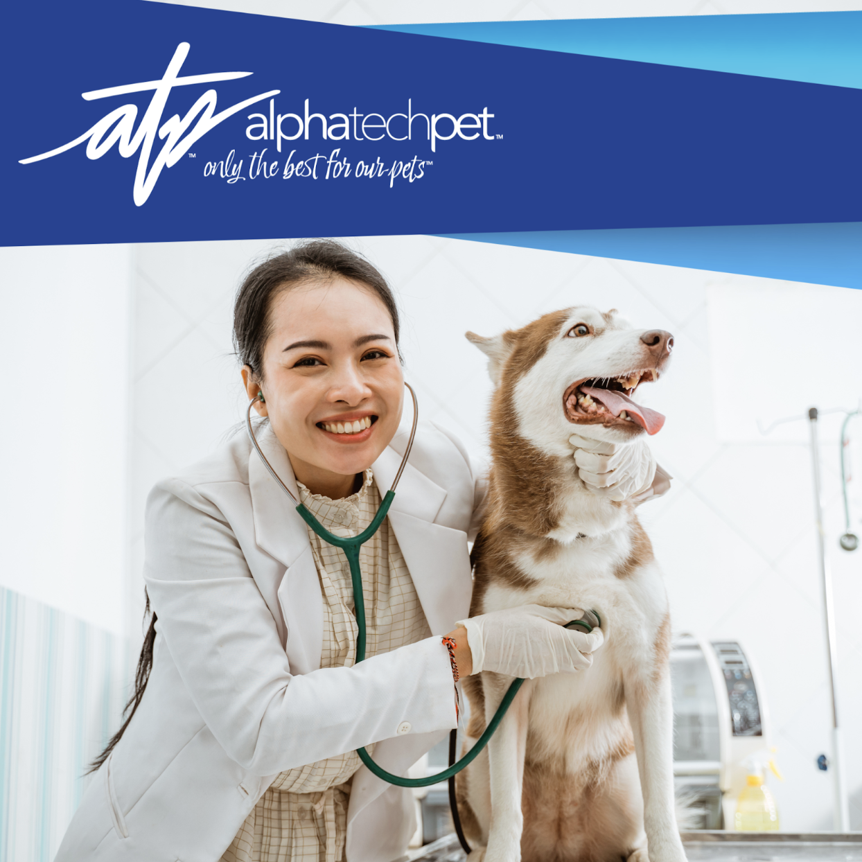 Creating a Clean and Welcoming Environment for Pet Owners